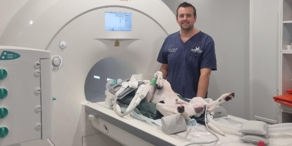 15 minutes with… veterinary radiographer Steven Edwards | SoR